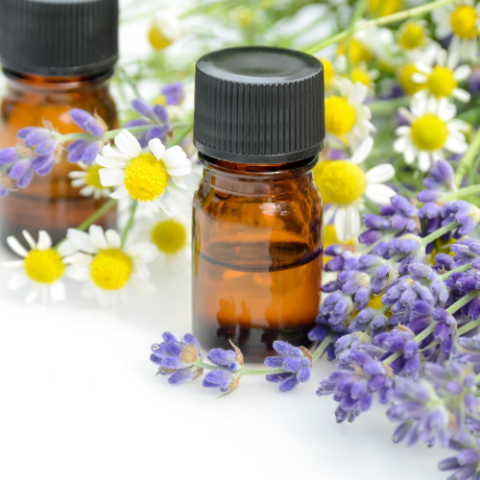How Essential Oils Work - Heart of Herbs Herbal School