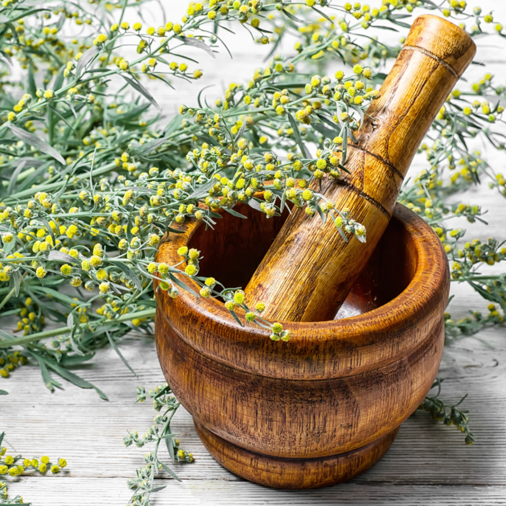 Anthelmintic Herbs for Natural Parasite Relief - Heart of Herbs Herbal ...